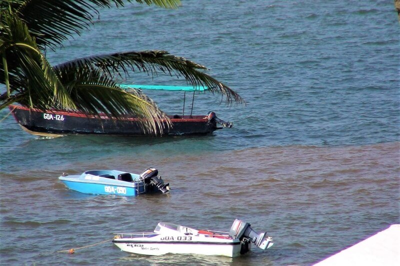 Top 5 Tips for Your First Goa Trip | Ticker Eats the World