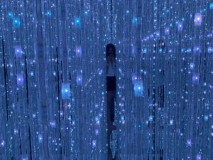 teamLab Planets Tokyo – Everything You Need to Know